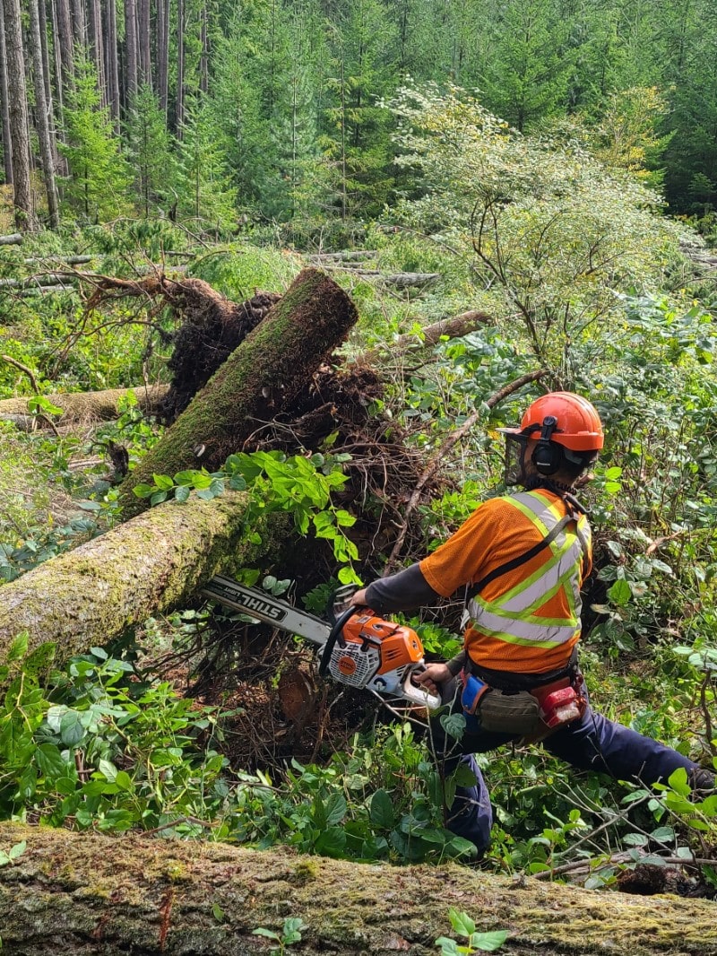 JS NEW FALLER TRAINING